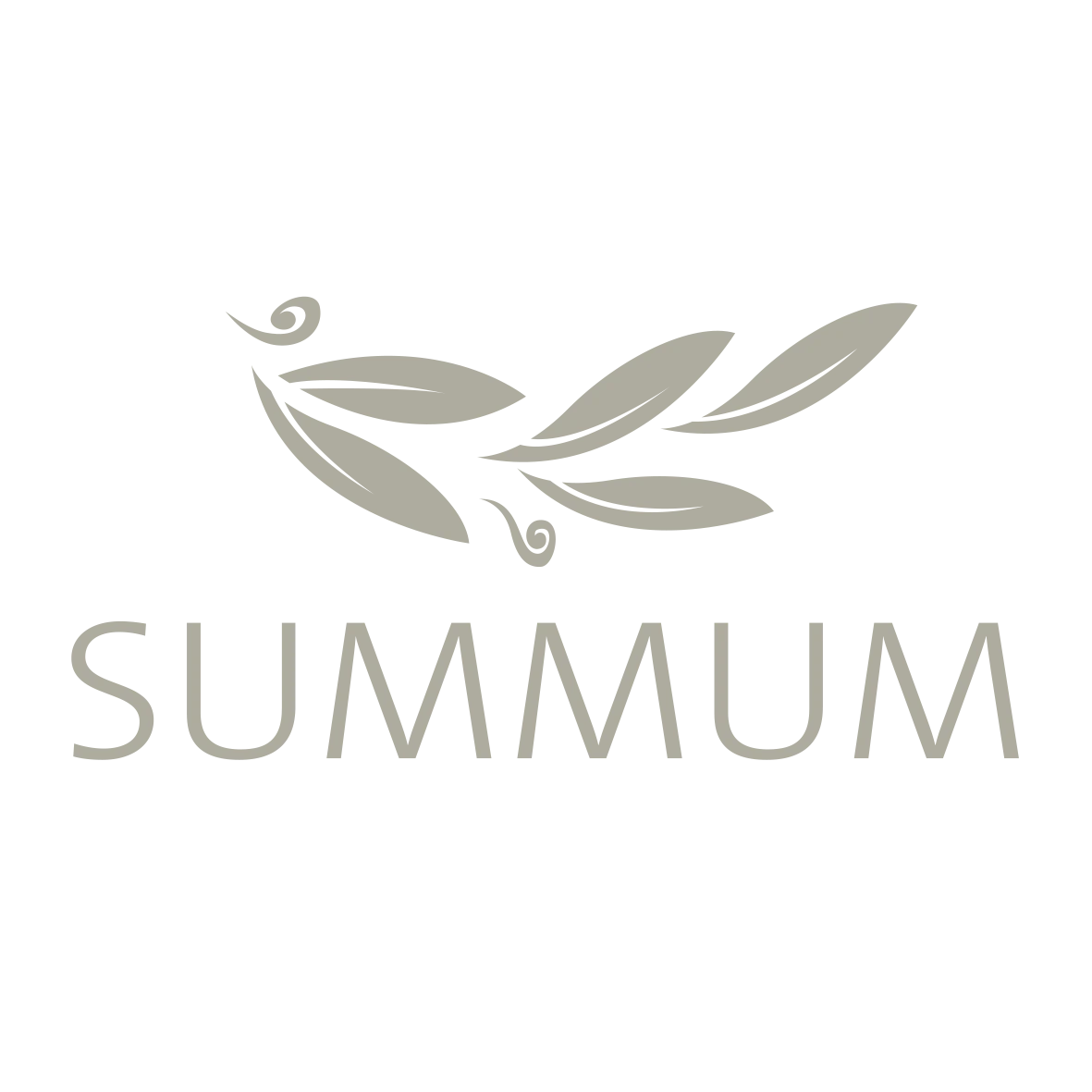 SUMMUM 2025